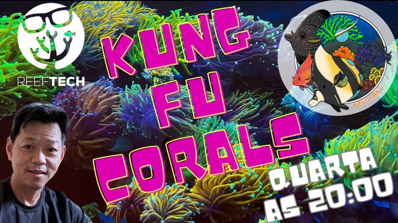 DANNY - KUNG FU CORALS - QUARTA 13 - 20:00 - YouTube