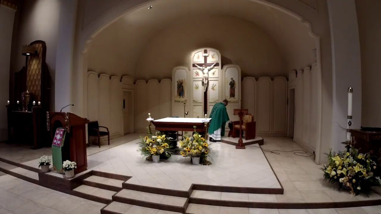 Divine Wisdom Catholic Academy Graduation Mass - YouTube