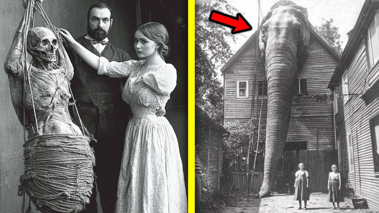 These Rare Shocking Historical Photos Were Hidden From Us - YouTube