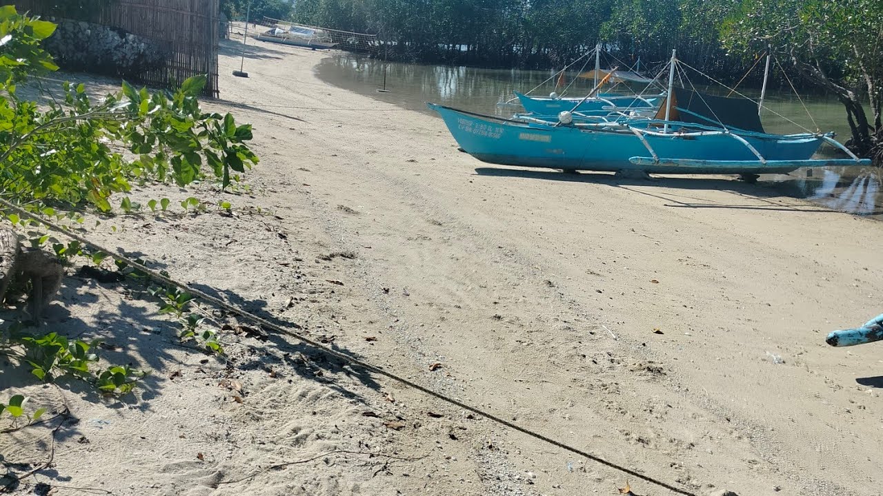 Beach lot for sale Calape Bohol Philippines 3.2M negotiable - YouTube