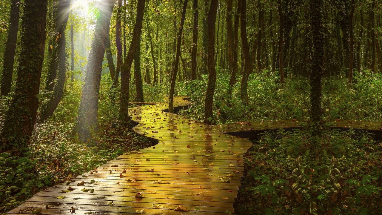 After the Rain | Copyright Free Cinematic Background Music | No ...