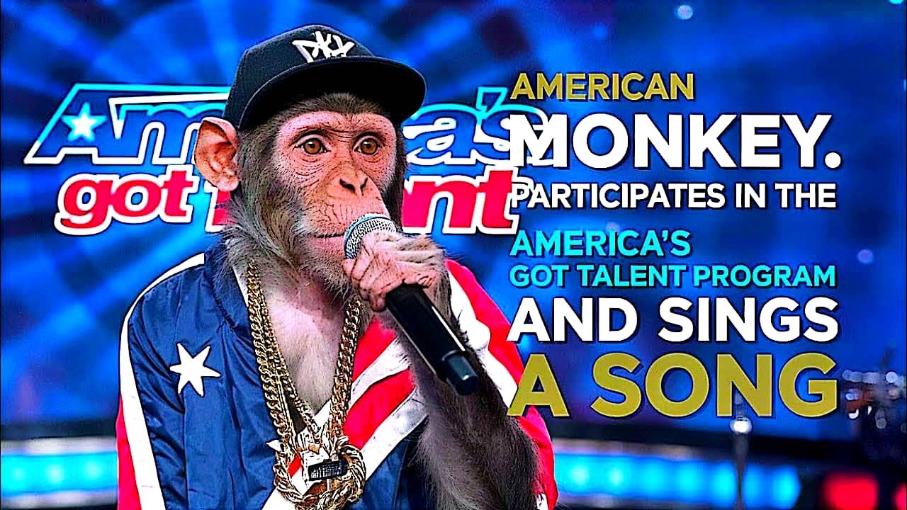 Monkey Stuns America's Got Talent Judges with Akon's 'Right Now ...