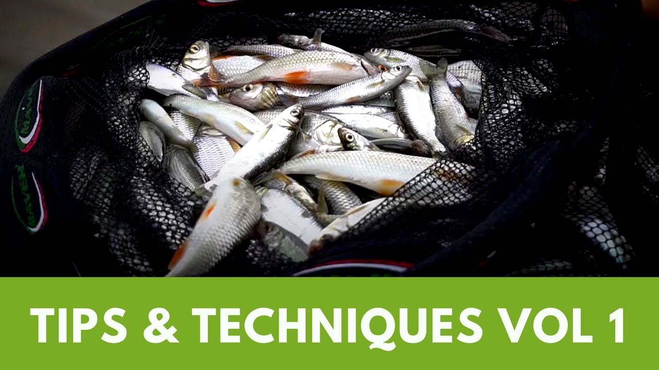 Match Fishing Tips & Techniques: Volume 1, Rivers - YouTube