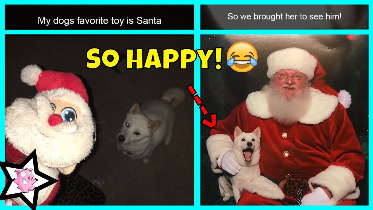 Hilarious Christmas Posts That Are Impossible Not To Laugh At - YouTube