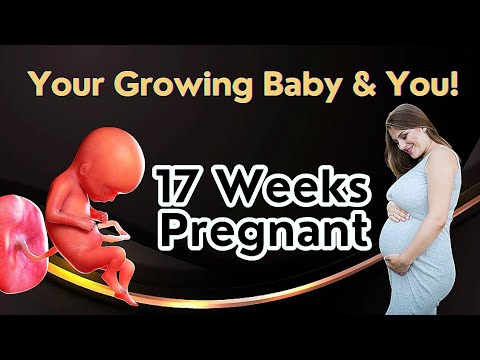 I'm 17 Weeks Pregnant: What to Expect? - YouTube