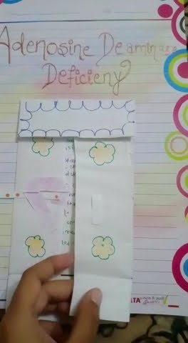 Genetic disorder project file class 12 #Genetic_disorder #Art ...