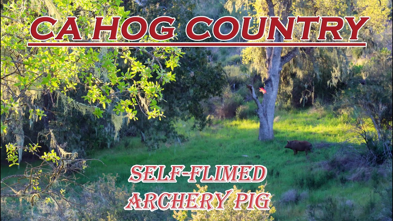 California Hog Country - Self-Filmed Archery Pig - YouTube