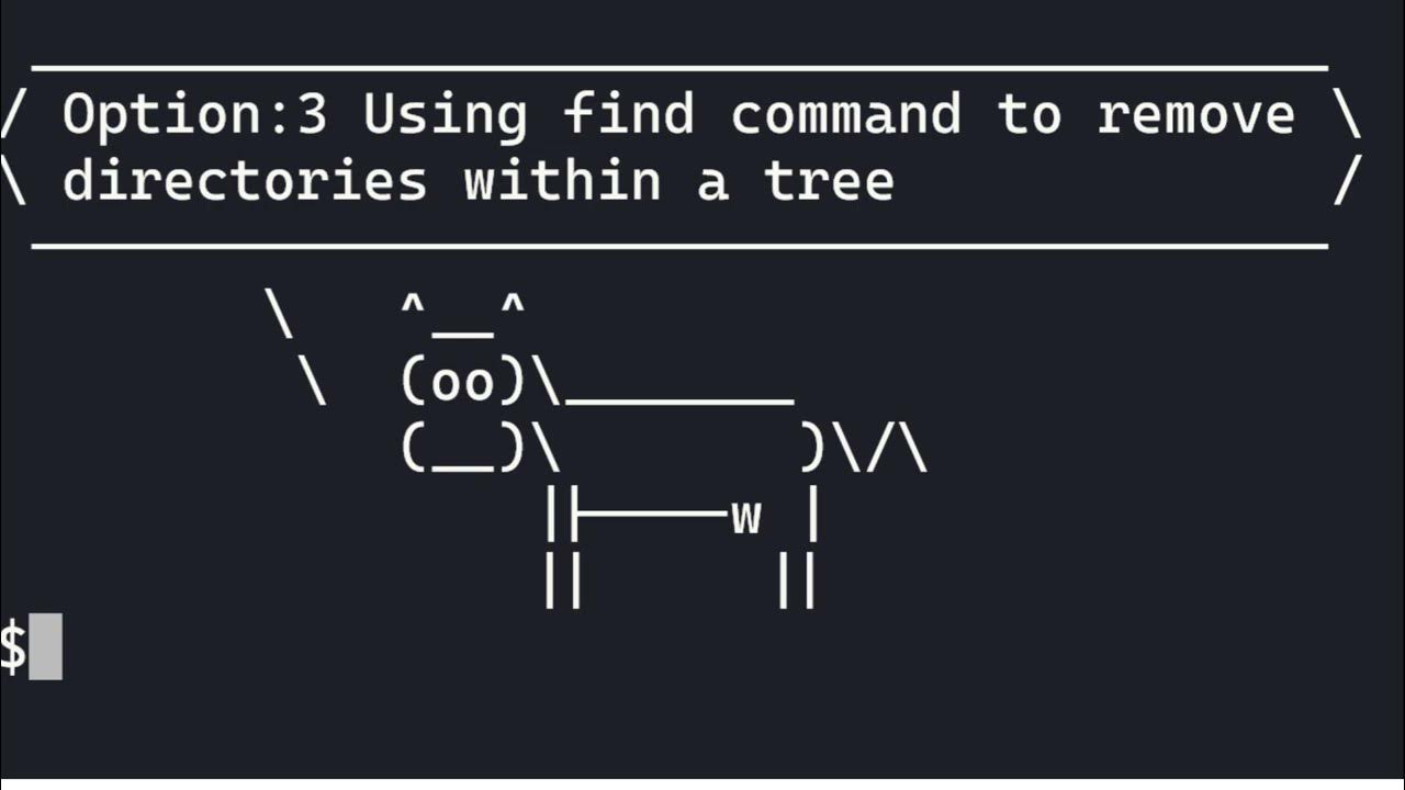 How To Delete Directory In Linux Using Find Command To Delete Directories Matching Patterns how-to-delete-directory-in-linux-using-find-command-to-delete-directories-matching-patterns