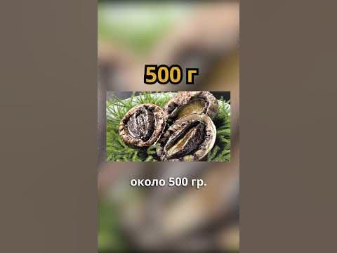 Самые необычные консервы - YouTube
