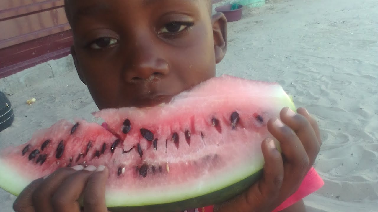 Moving to another country on foot, with my 4y/o 😱🥺. They gave us ...