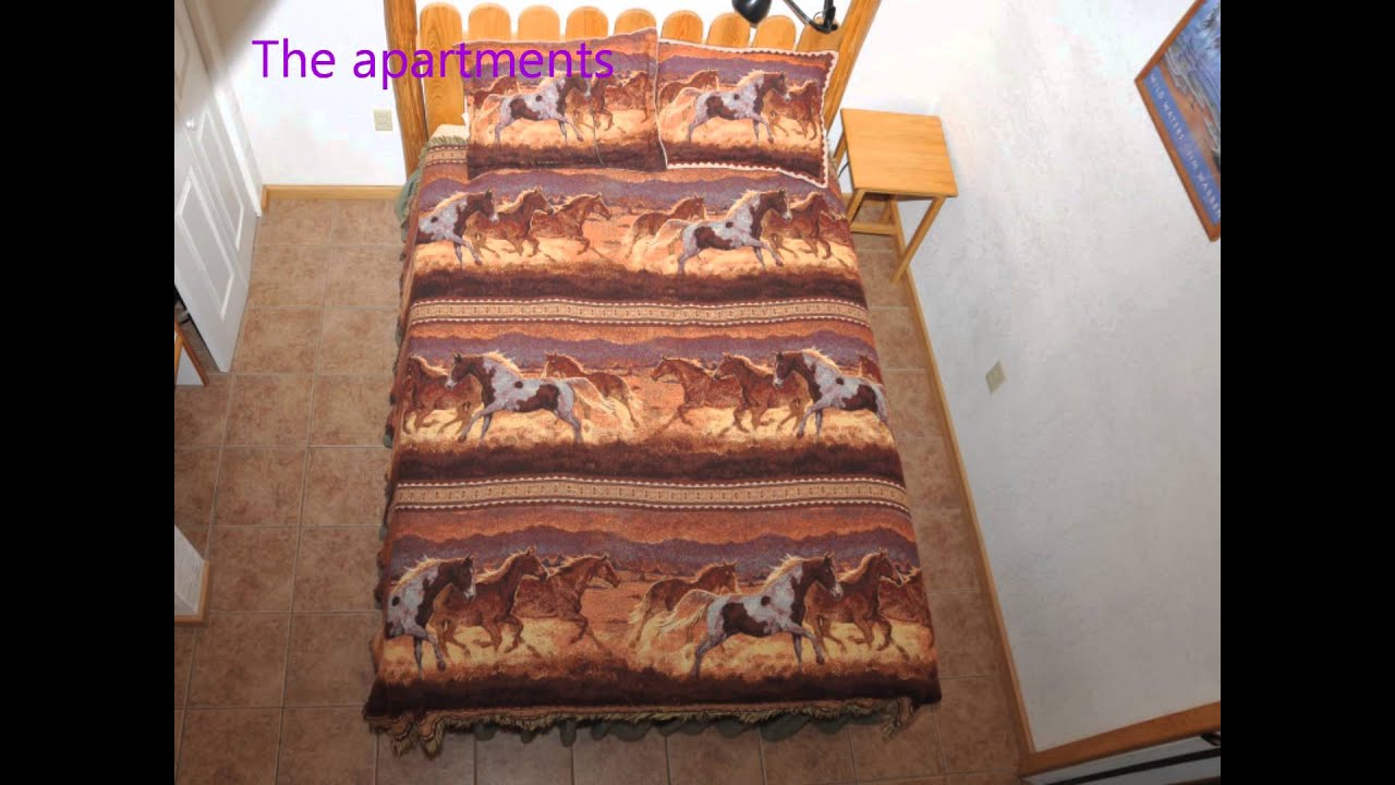 Black Prong Equestrian Center Picture Tour - YouTube