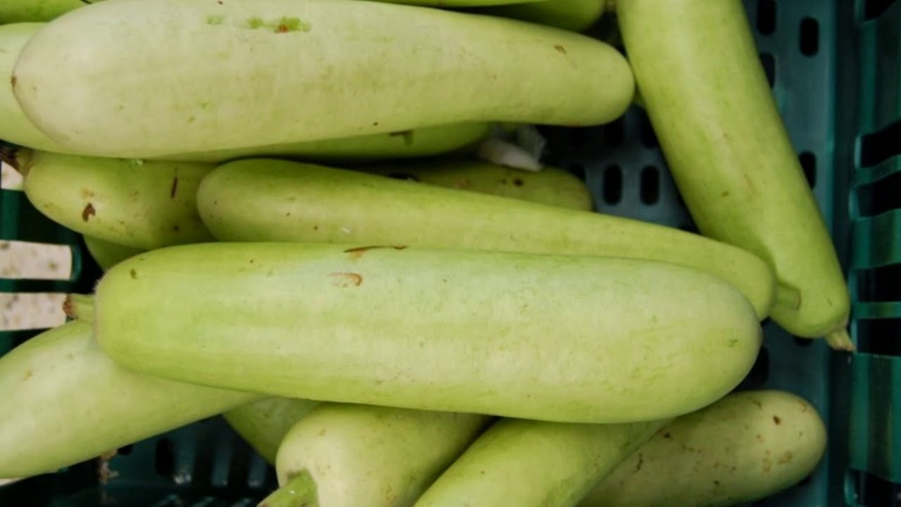 What is a Dudhi vegetable - YouTube
