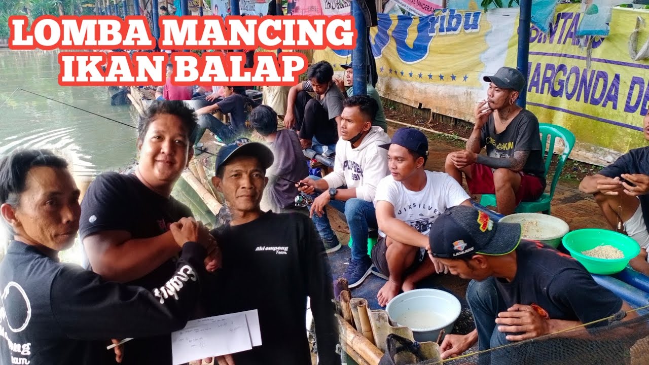 LOMBA MANCING IKAN MAS SPEED IKAN RAMAI IKAN BALAP - YouTube