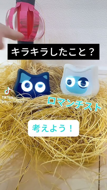 キラキラしたこと? Shorts 猫 ミーア Cats ミーアキャット 推し活 猫のいる暮らし ロボット Robot 猫好きさんと繋がりたい 方言 Kawaii 博多