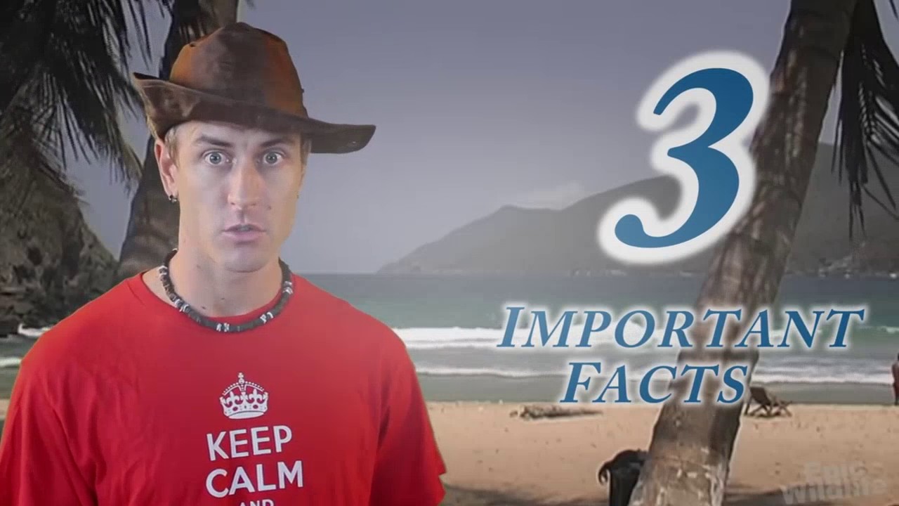 04 Shark Attack Brazil Girl Attacked by Shark Video Caught on ...