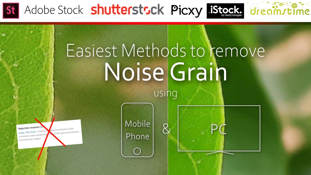 The Easiest methods to remove noise grain from photo in PC and Mobile ...