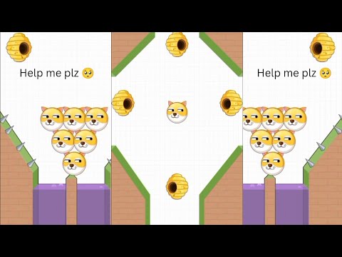 Save the Pet" is an engaging and addictive game where your mission is ...