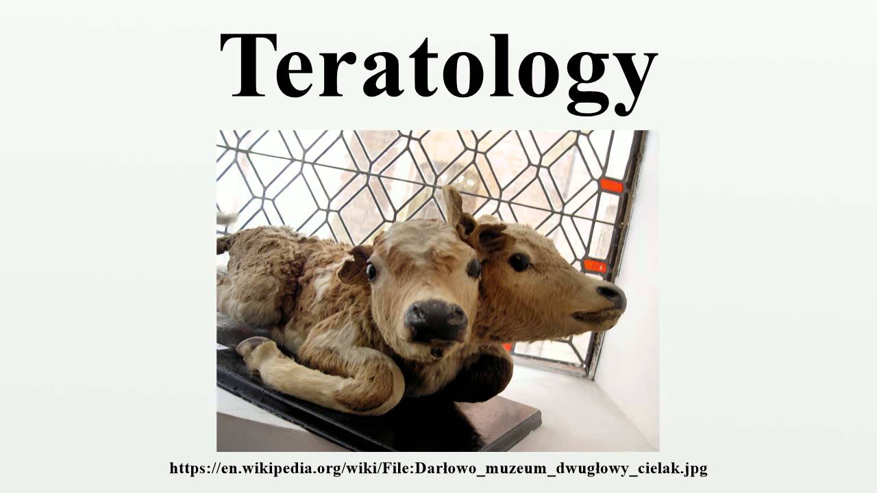 Teratology - YouTube