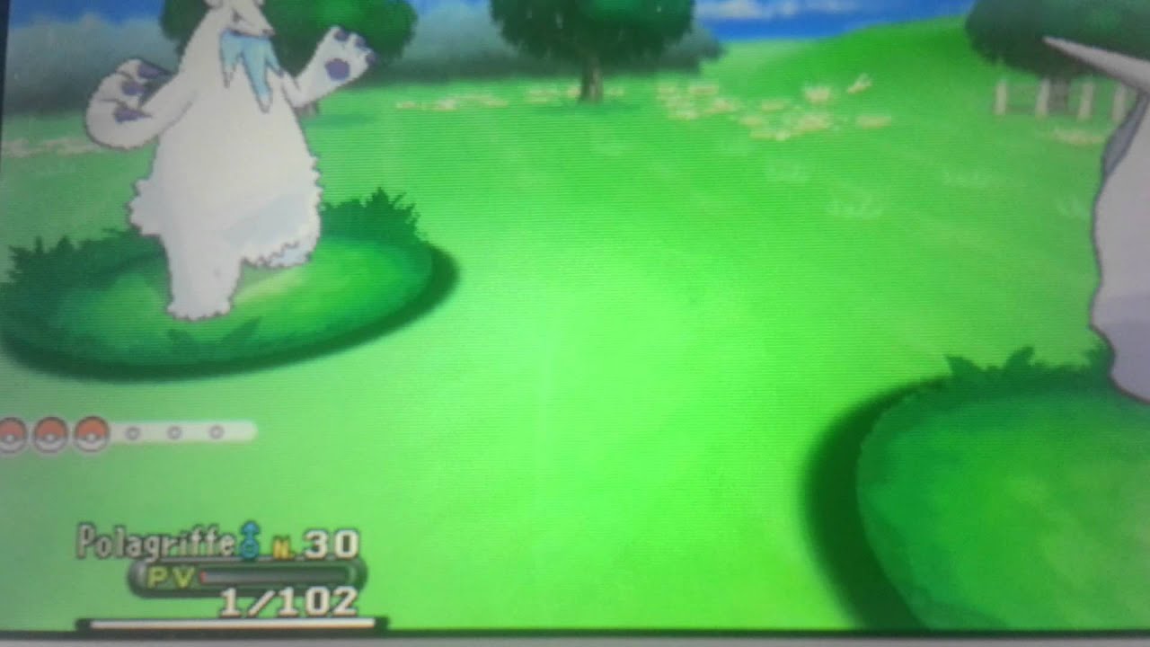 Polagriffe Shiny/ Pedobear Shiny - YouTube