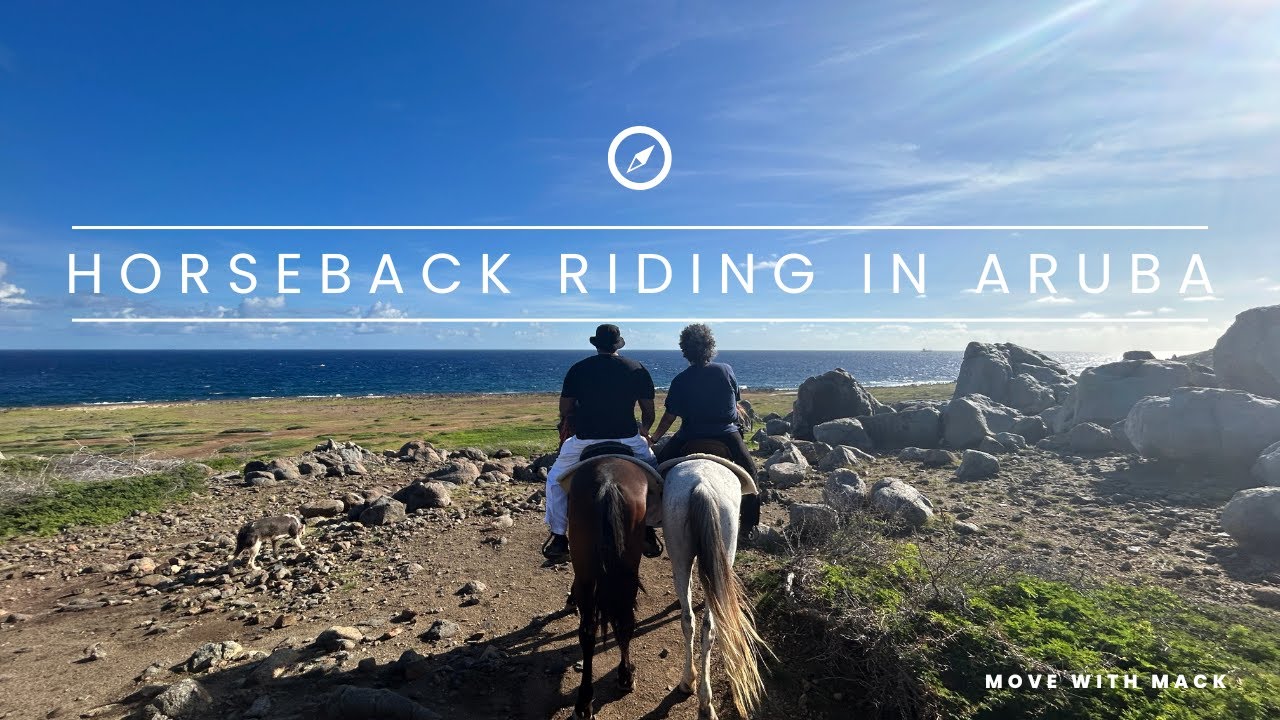 Horseback Riding in Aruba - YouTube