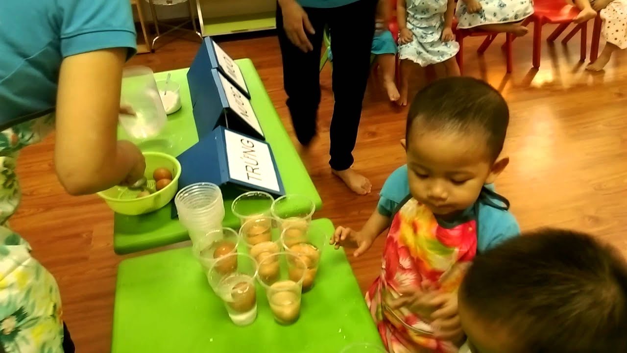TrƯỜng MẦm Non CẦu VỒng NhỎ ThÍ NghiỆm Khoa HỌc TrỨng NỔi TrỨng ChÌm