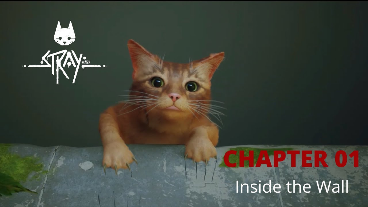 Stray Walkthrough Chapter 1 || Inside the wall || PC Gameplay || GTX ...