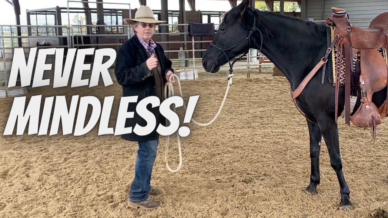 Never Mindless Groundwork | Helping Our Mare to Think | Horse Farm ...