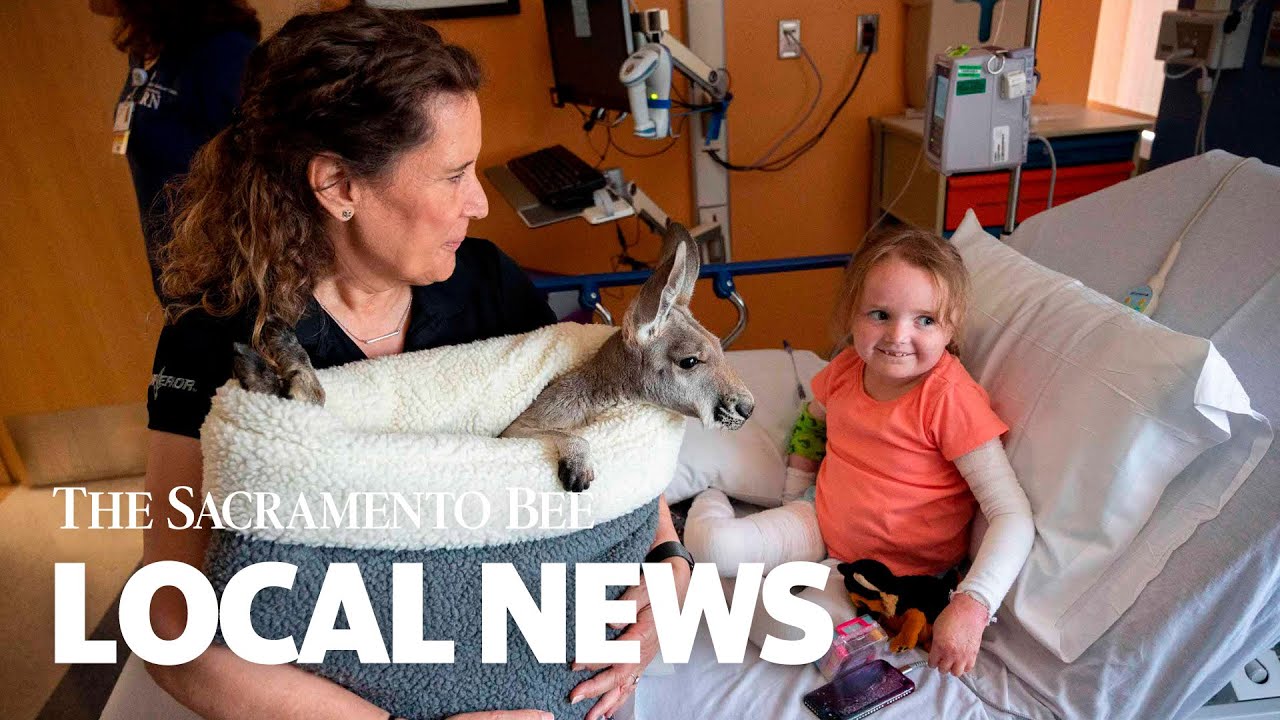 Watch Pediatric Patients Light Up As Animals Visit Their Rooms At ...