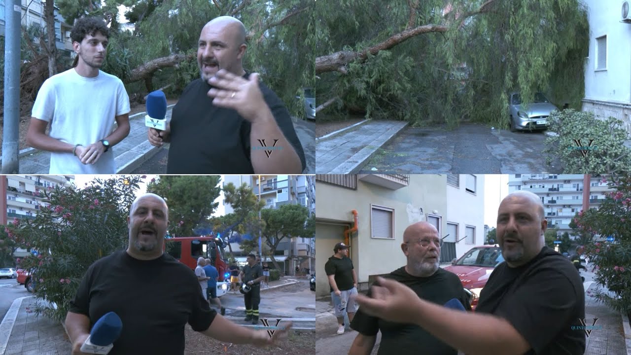 Tempesta su Bari, albero gigante giù come un rametto. Nico: "Veglio la ...