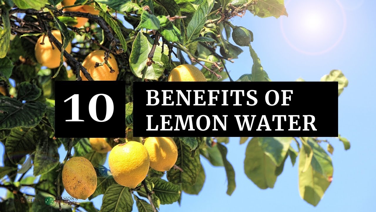 10 Benefits of Drinking Lemon Water | Limoneira - YouTube