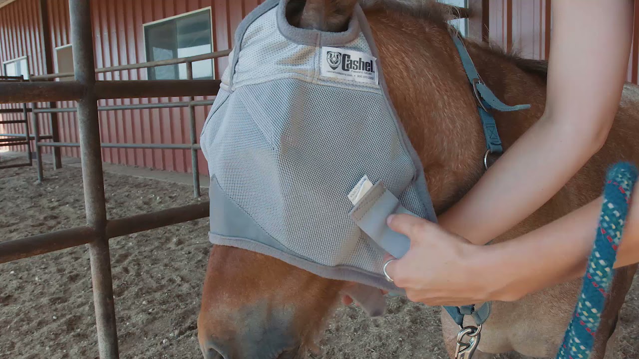 Cashel Fly Mask Small Pony - YouTube
