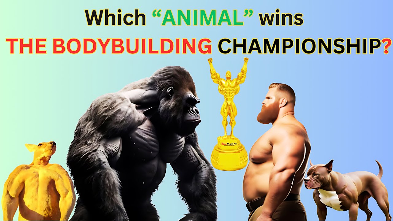 According to OUR current BODYBUILDING RULES, which animal would win the ...