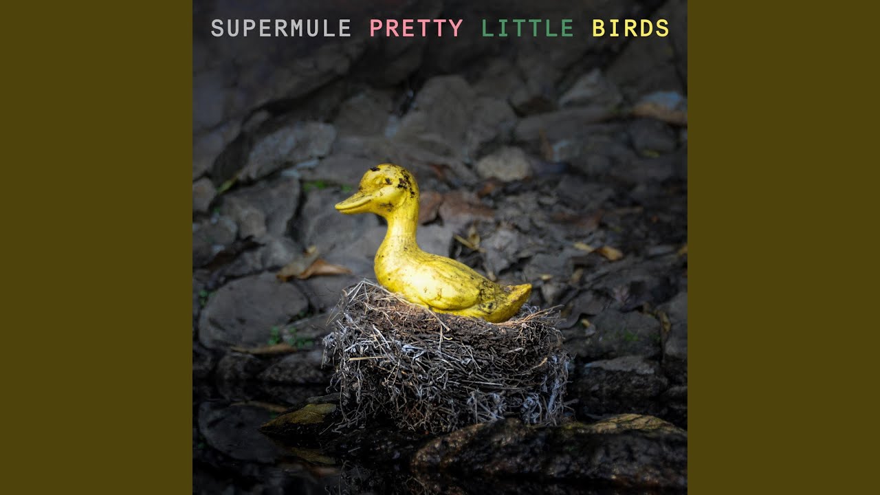 Curtsy Lesson - YouTube