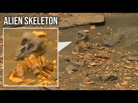 NASA's Mars Perseverance Rover spotted an Aliens Skeleton or Martian ...
