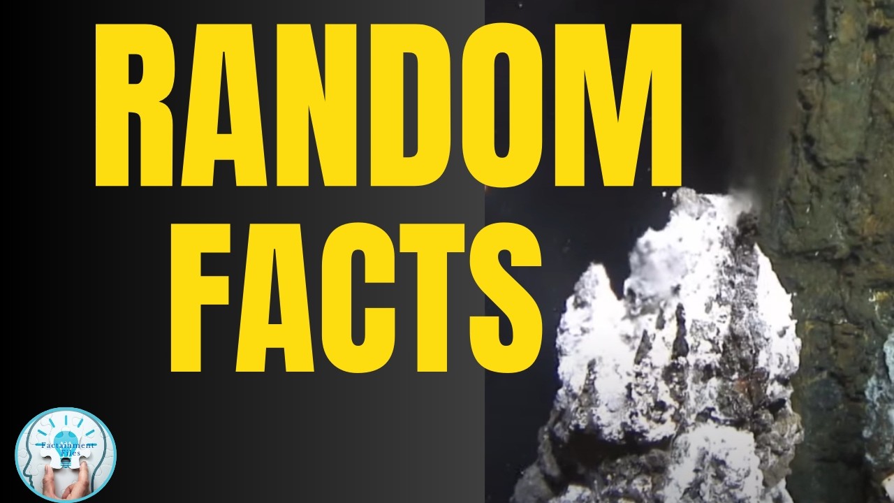 20 Ocean Facts You Didn't Know About - YouTube