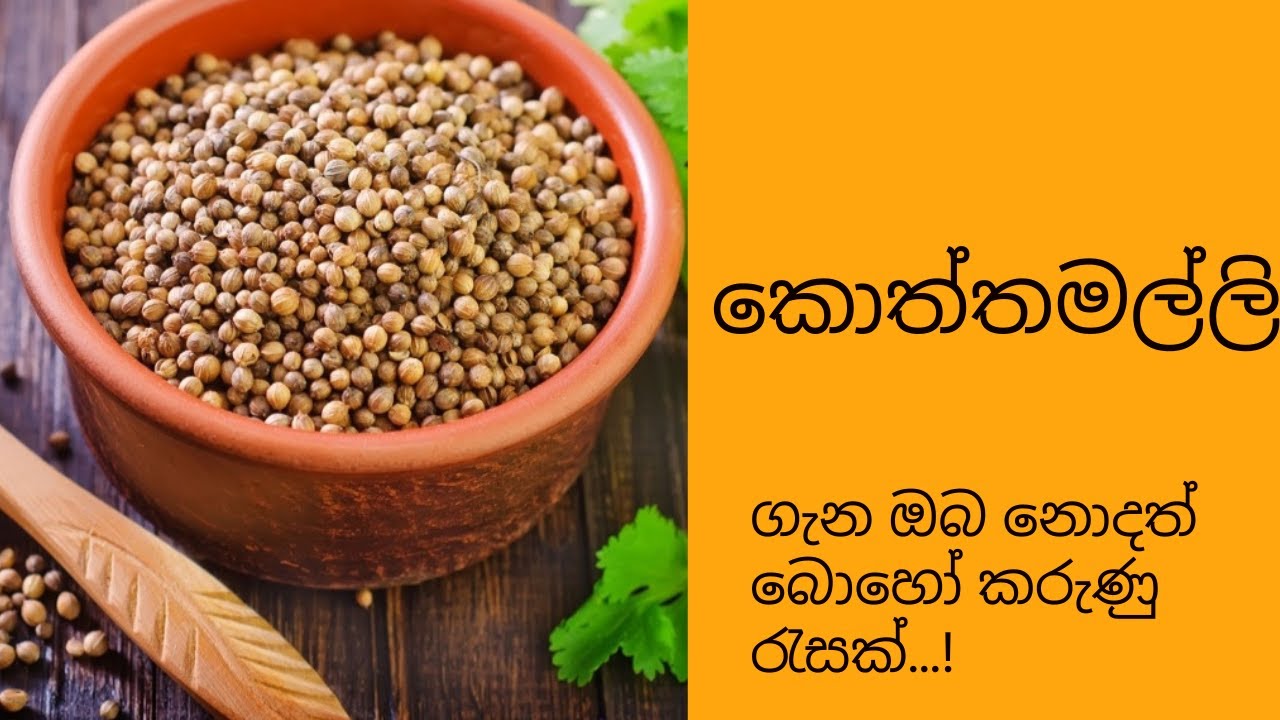 Koththamalli gana oba nodath boho dewal rasak | Healthy Life | Benefits ...