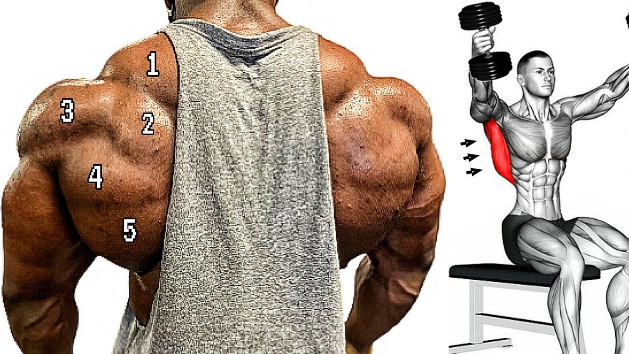 Intense Back Workout to Get Bigger Back - YouTube