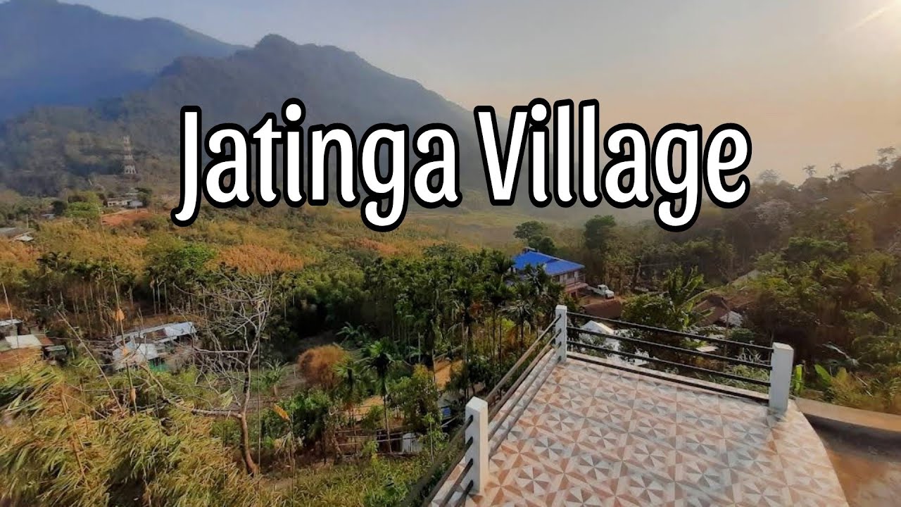 Jatinga Valley | Jatinga Bird Mystery | Dima Hasao, Assam~2024 - YouTube