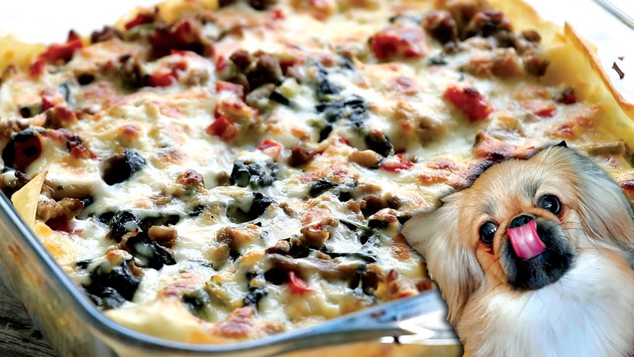 Homemade Dog Lasagna | A Truly Tail-Wagging Recipe to Try! - YouTube