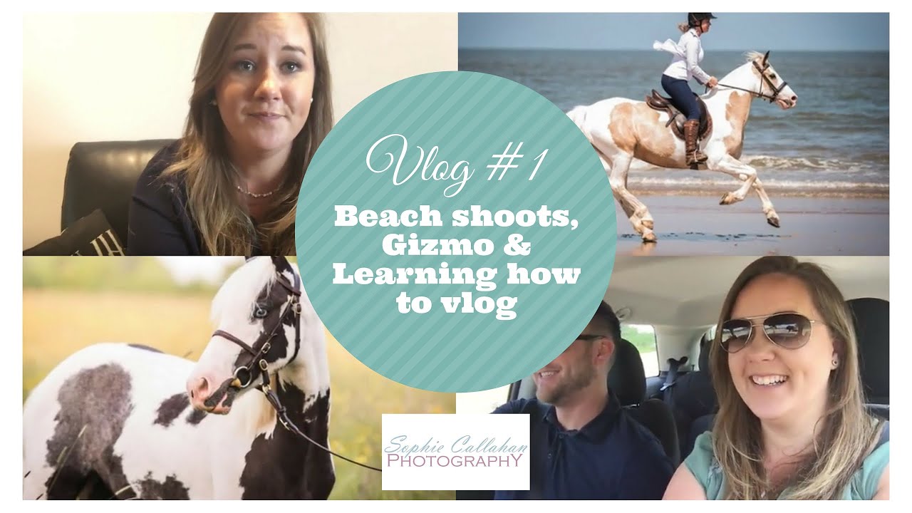 LEARNING HOW TO VLOG & RSPCA’S GIZMO – Weekly Vlog #1, Sophie Callahan ...