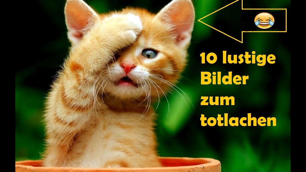 10 lustige Bilder!!! - YouTube