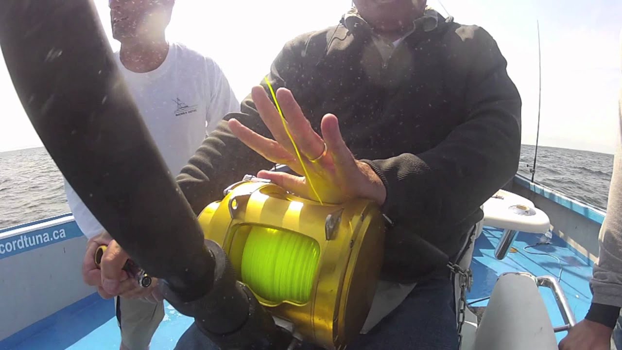 Antigonish Giant Bluefin Tuna Fishing Sept 2012 - YouTube