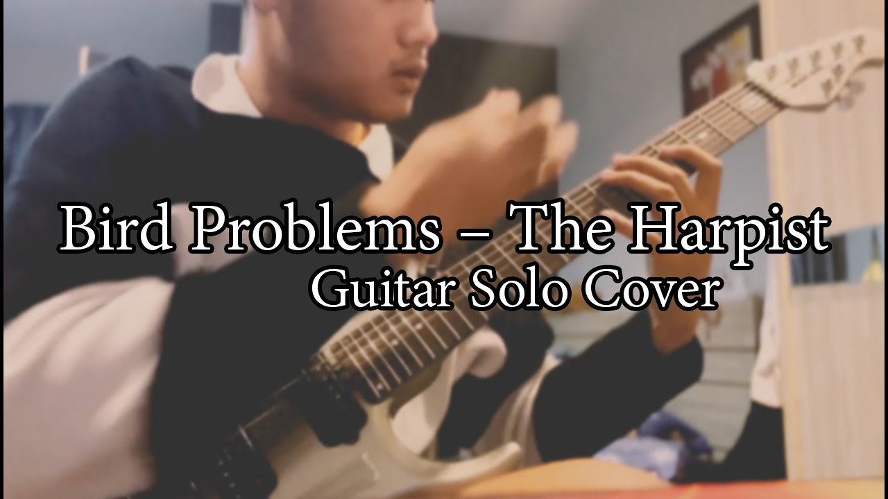 Bird Problems – The Harpist [ Guitar Solo Cover ] - YouTube