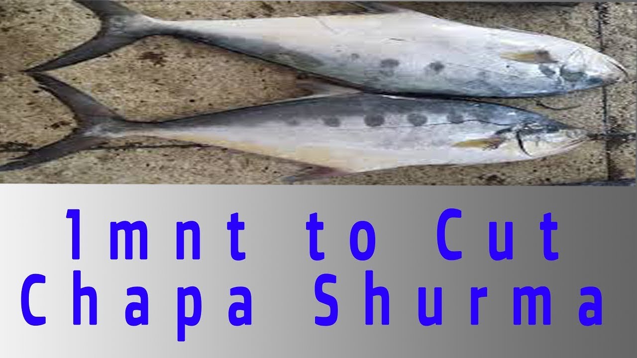 Live Chapa Shurma Fish Cutting 2019 in Fish Market - YouTube