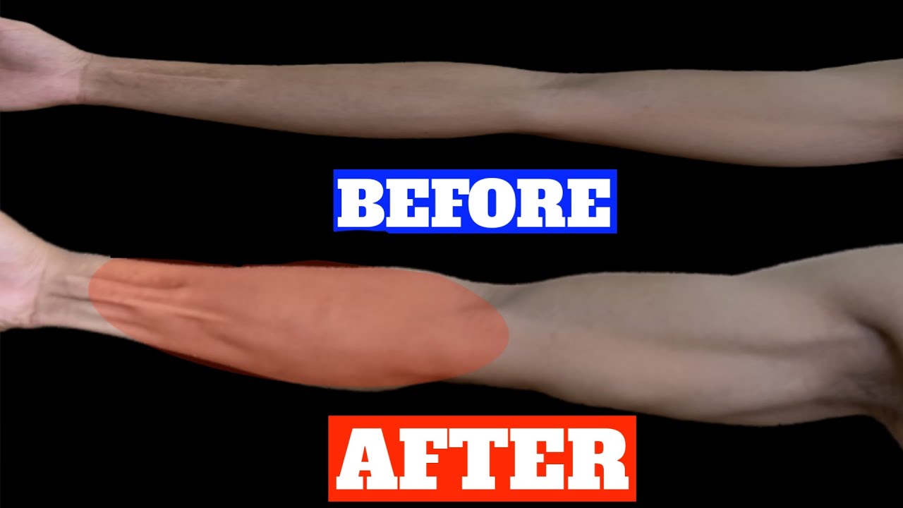 HOW TO MAKE FOREARMS BIGGER AT HOME WITHOUT DUMBELLS FOR BEGINNER ...