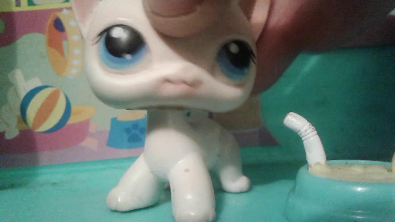 One weird LPS video and taking about our new series - YouTube