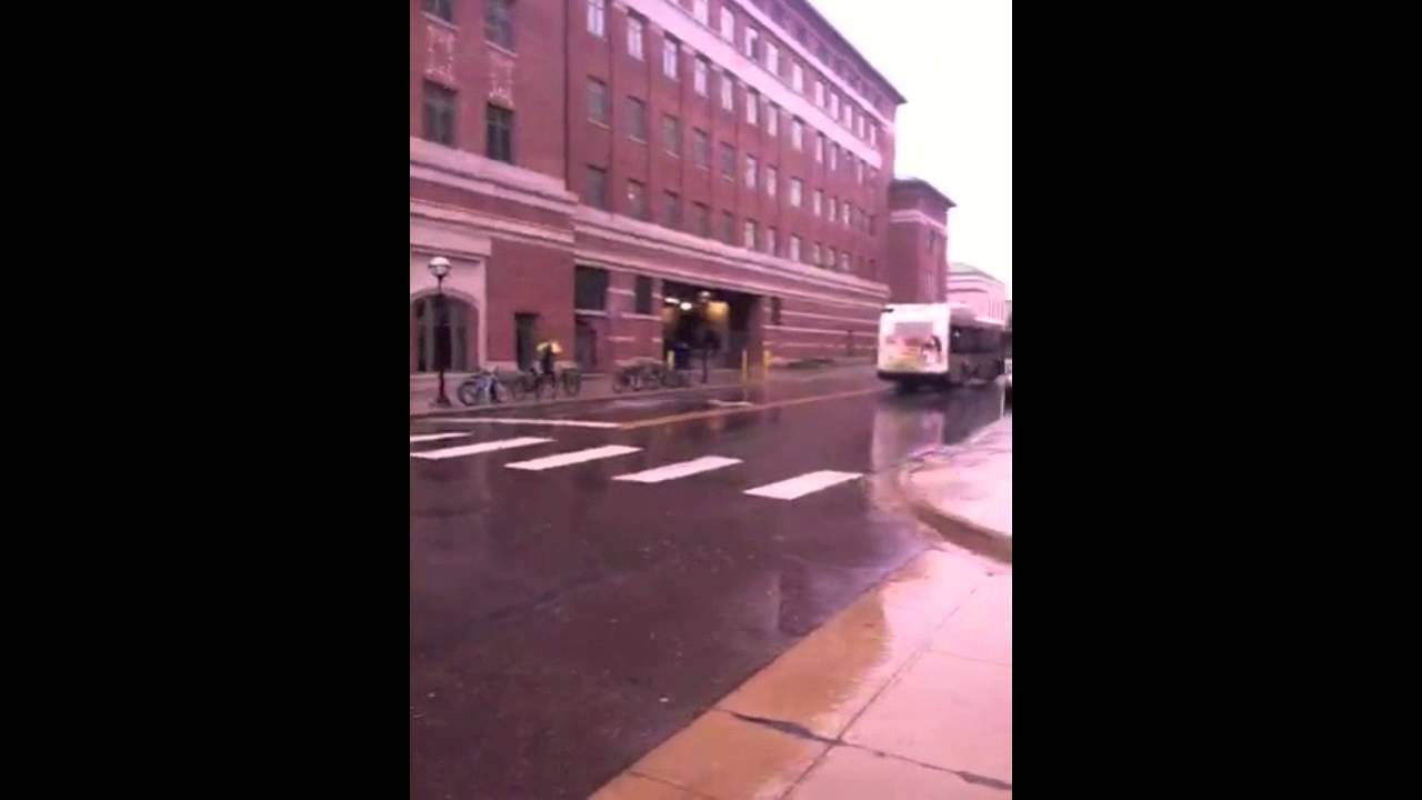 Grant Geiger Second Video - YouTube