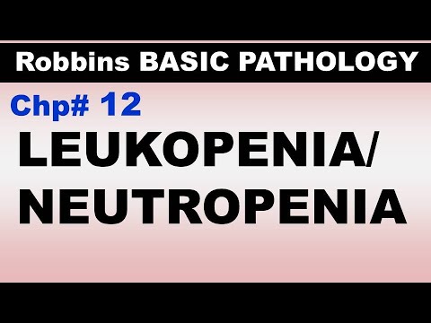 Ch12 | Leukopenia | Neutropenia | Agranulocytosis | Blood Pathology ...
