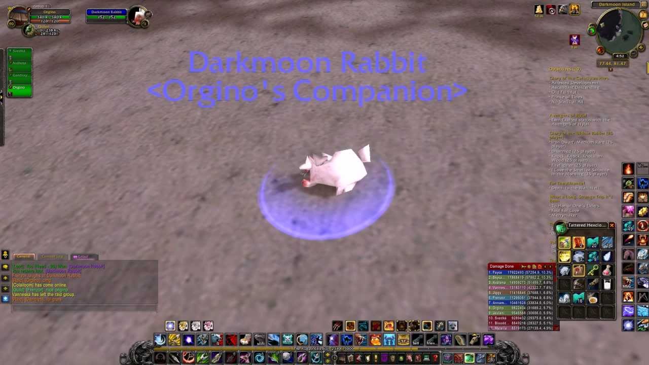 Darkmoon Rabbit rare pet WoW - YouTube