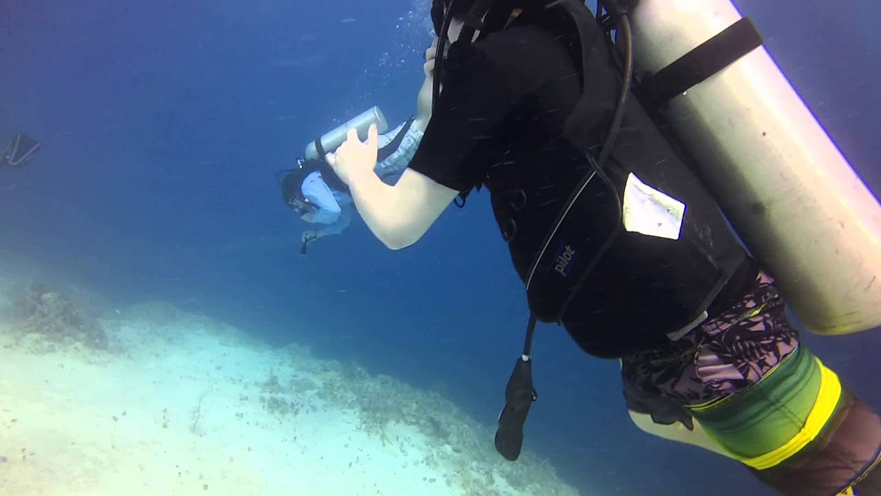 2015 Belize SCUBA Atoll Diving The Great Blue Hole unedited 172 - YouTube